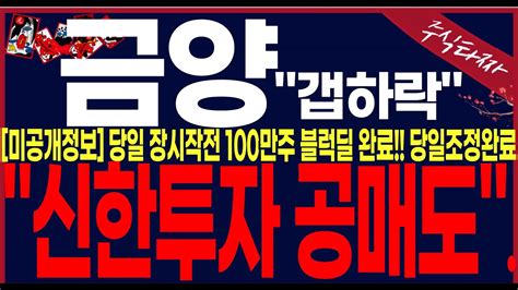 금양 주가 전망 100만주블럭딜완료 여의도자산운용사 긴급가격대응전략종료신한투자공매도역이용하기금양주가전망 금양주가 금양대응전략 금양주식전망 금양주가분석