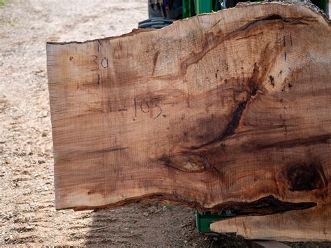 Sugar Maple Sm100522 01 — Hillside Timber