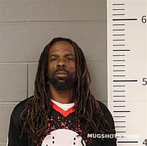 Shepard Jamichael 11 22 2025 St Clair County Mugshots Zone