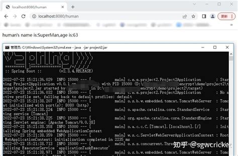 使用jvmti实现java源码加密及springboot项目包解决方案 知乎
