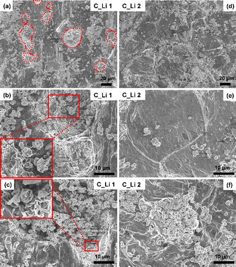 Ex Situ Surface Morphology Analysis Of Cycled Ptnbli Recovered From