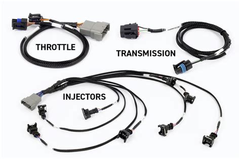 Haltech Nexus Rebel Ls Pre Order Today Tuned By Shawn