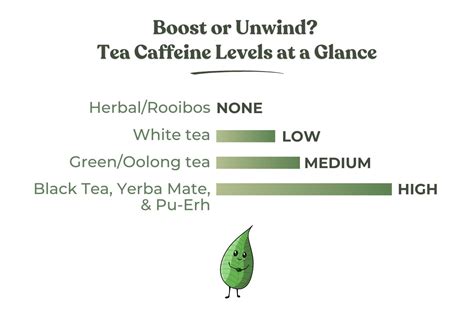 Tea Types Comparison Guide Understanding Different Teas Full Leaf