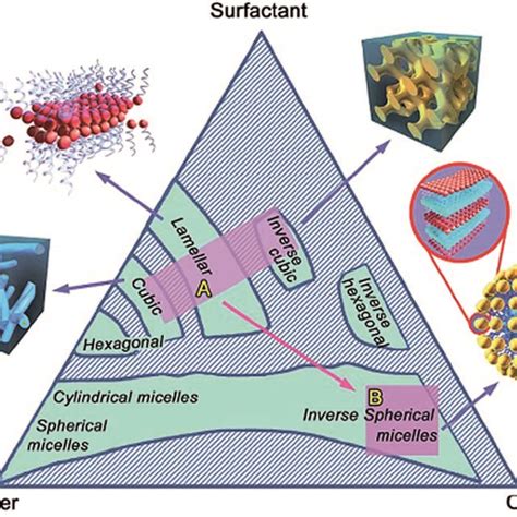 A Three Component Water Oil And Surfactant Phase Diagram Showing The Download Scientific