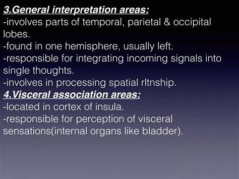 Cerebral Cortex Ppt Pdf