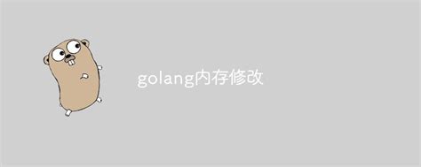 Discuss The Methods And Precautions Of Memory Modification In Golang Golang Php Cn