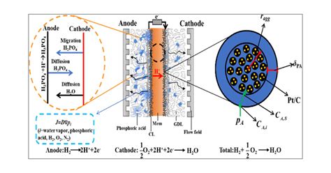Effect Of Flow Field Structure And Operating Condition On The Distributions Of Water And