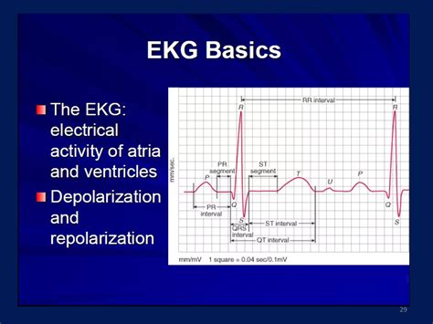 Ekg Myocardial Ischemia And Infarction Ppt