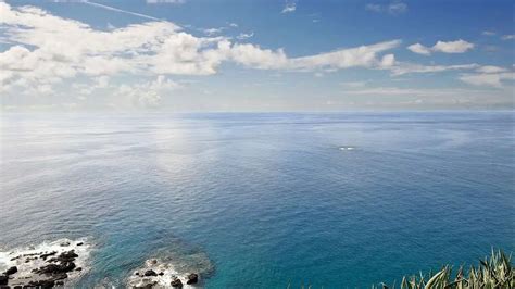 Вятские картины на холсте Природа пейзаж натура флора 1137 на подрамнике декор для дома