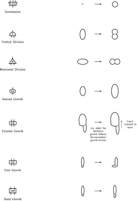 1 The Primitive Classes Used In This Application Left And The Download Scientific Diagram
