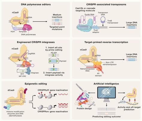 Cell综述：crispr基因组编辑技术的过去、现在和未来 生物科技 健康一线资讯