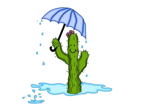 Tucson Rainfall Year To Date Arizona Lapidary And Gem Rough Inc