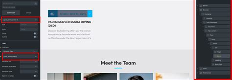 WAIT Nestable Tabs And Query Loops Get Only One Taxonomy And Exclude