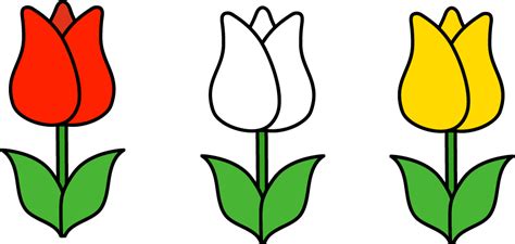 チューリップのイラスト かわいいフリーイラスト素材 ｜イラストたうん