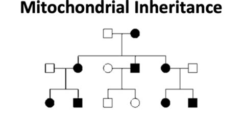 patterns of inheritance mitochondrial and unexpected patterns
