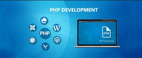 Php And Mysql Web Development Service In Sapna Sangeeta Road Indore Id
