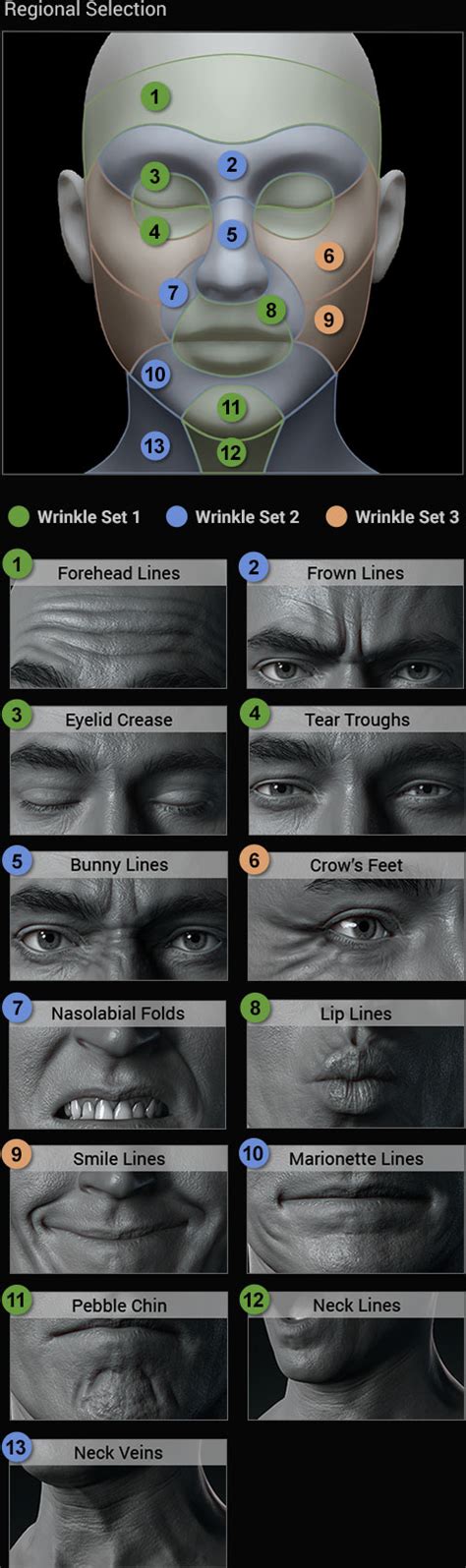 Dynamic Wrinkles Character Creator