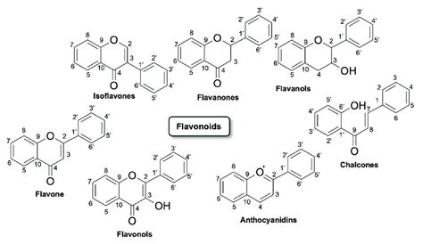Flavonoids Classification And Their Possible Chemical Structure 7