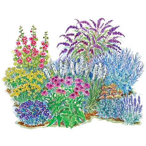 This Full Sun Garden Plan Brings Color To Your Yards Brightest Spots