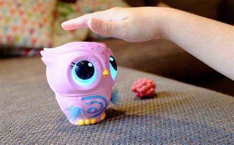REVIEW - Owleez Flying Owl Toy - Teach Your Owl to Fly!
