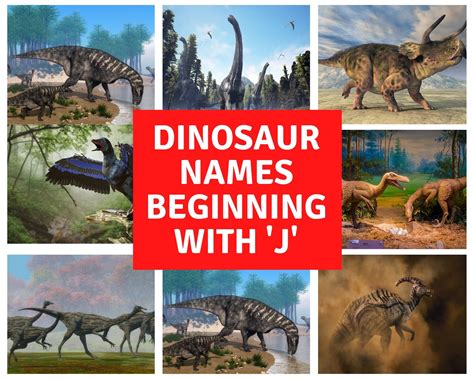Dinosaur Names Beginning With J A To Z Dinosaurs