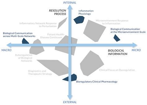 What Is Group Concept Mapping At Gordon Glazer Blog