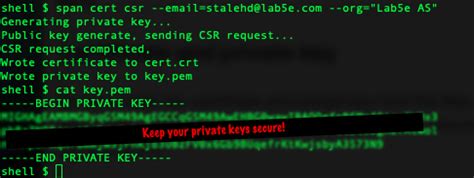 Implementing A Simple DTLS Client On Raspberry Pi Lab5e AS