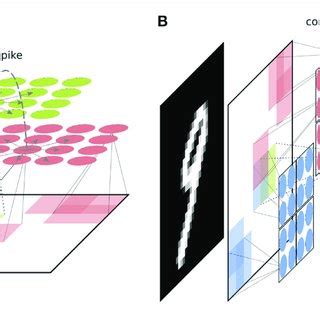 A Basic Structure Of A Convolutional Layer With Inter Layer WTA Download Scientific