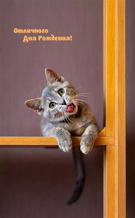Открытки с Днем рождения с Юмором