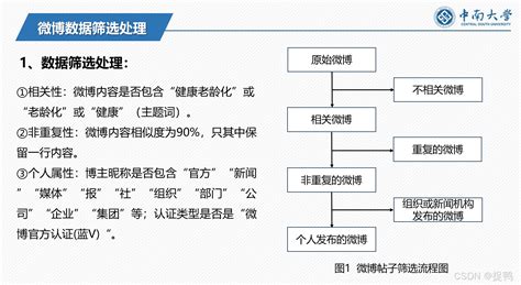 Python微博数据筛选微博爬取 Csdn 退休年龄 Csdn博客