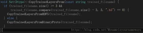 追踪caffemodel的读取 readnetparamsfrombinaryfileordie csdn博客