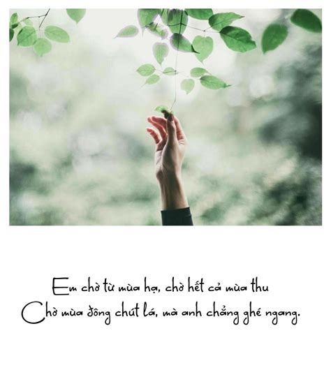 T Ng H P Hinh Anh Ch Hay Nh T Sai Gon English Center