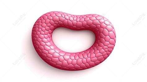 앰퍼샌드 기호와 피부 질감이 있는 3d 렌더링된 분홍색 가죽 기호가 포함된 흰색 배경 홍색 배경 조직 배경 흰색 질감 배경 이미지 Hd 홍색 조직 흰색 질감 배경