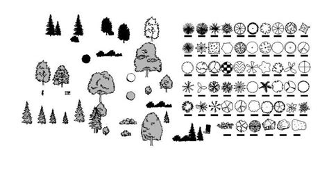 Different Landscaping Trees And Plants Units Detailing Drawing In Dwg Format Cadbull