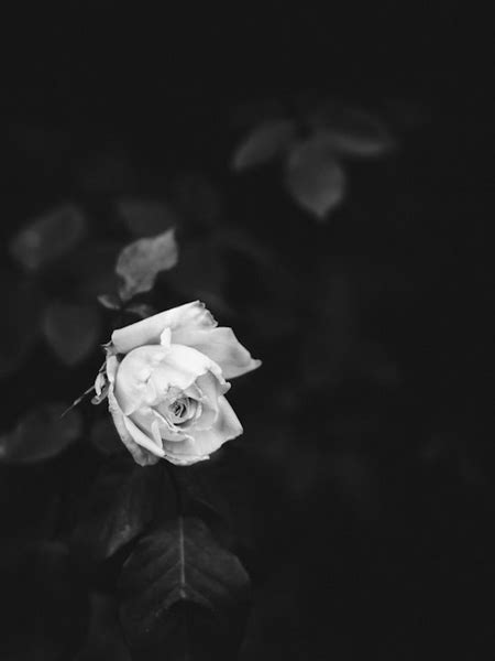 라스트 픽션 장편소설