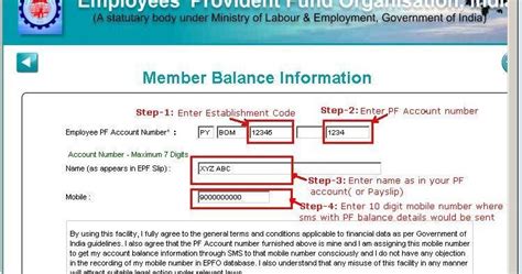 Indian Government S Useful Link Portal Step Wise Guide To Check PF Balance