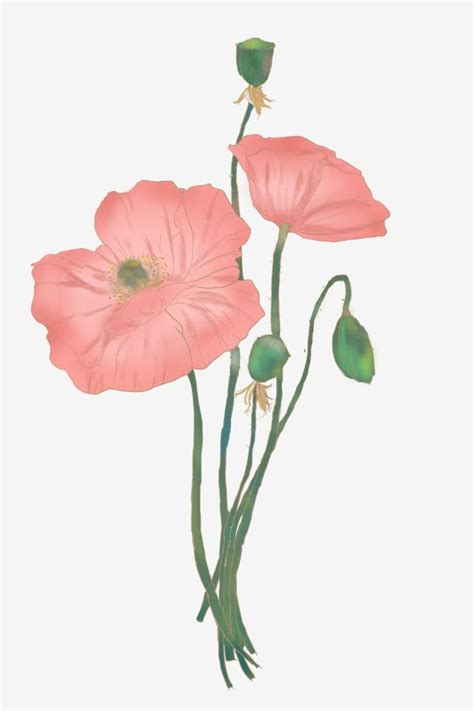 고대 스타일 일러스트 복고풍 판금 꽃 양귀비 고대 꽃 중국식 꽃 Png 일러스트 및 Psd 이미지 무료 다운로드 Pngtree 양귀비 꽃 골동품