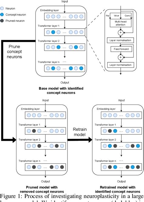 Large Language Models Relearn Removed Concepts Paper And Code Catalyzex