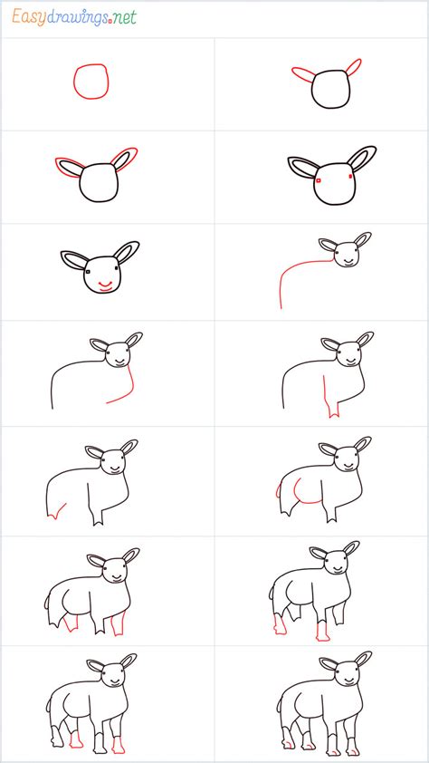 How To Draw Sheep Step By Step Easy Phase How To Draw Sheep Step By Step Easy Phase