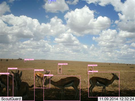 Performance Better On Smaller Image Sizes Compared To Training Size