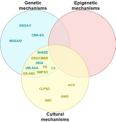 How Bio Inspired Algorithms Fit Into Biological Sources For Phenotypic Download Scientific