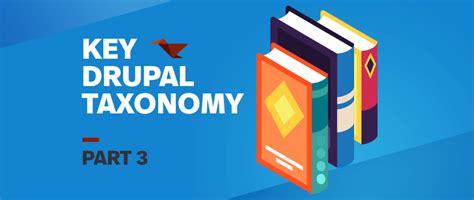 Key Drupal Taxonomy Part 3 Mobomo Mobomo