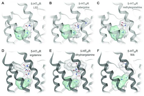 Extended Binding Modes Are A Common Feature In Biased 5 Ht2br Ligands