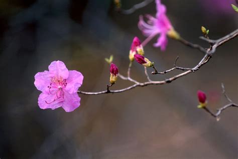 만월 도전 안녕하세요 달빛지기입니다 촉촉한 봄비가 작고 어린 생명에게 새로운 힘을 더해줍니다 이번 주 만월 도전님께서 내려주시는 기운충전 메시지는 아이를 키우는