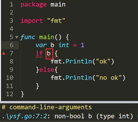 Golang If 条件判断语句 简介 Csdn博客
