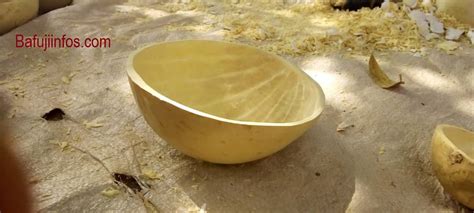 Culture La Calebasse Symbole Dhospitalité Et De Féminité Chez Les Lobi