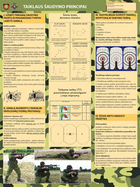 Tikslaus Saudymo Principai Pdf