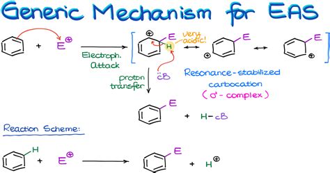 Electrophilic Aromatic Substitution Halogenation Nitration Sulfonation — Organic Chemistry Tutor