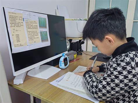中岳二小 居家学习 温暖有序 学校时讯 dfedu