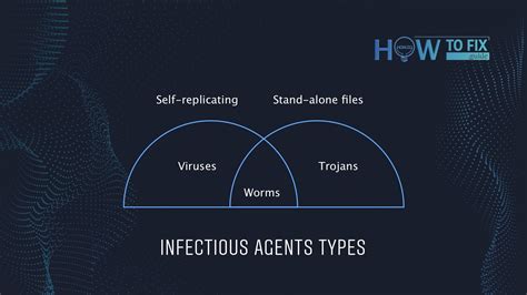 Malware Vs Virus Whats The Difference